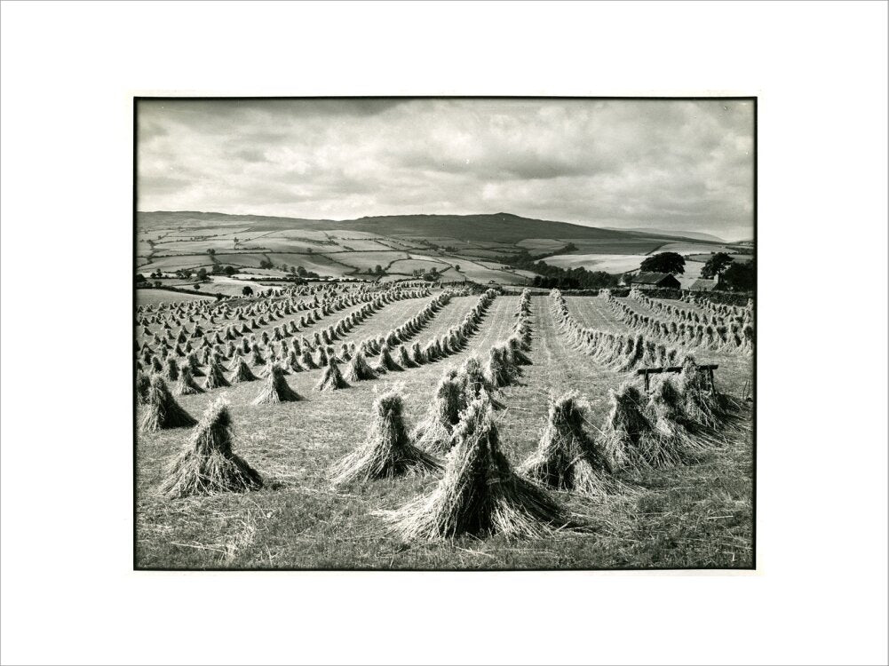 September in Wales (Corn Stacks) – National Trust Prints