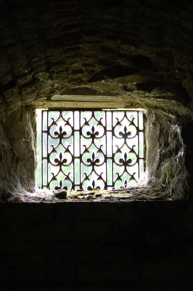 View of a delicately designed ironwork grille covering a window openin ...