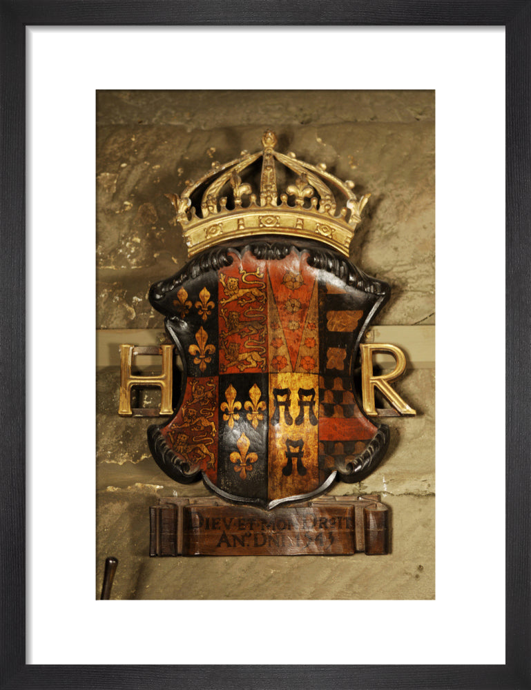 Coloured shield of the royal coat of arms of Henry VIII on the wall of ...
