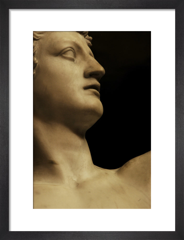 Close view of the head of The Falconer by John Edward Carew (1785-1868 ...