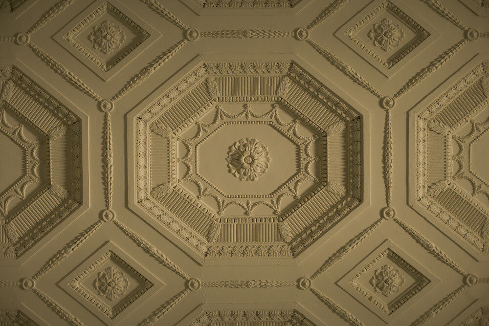 Plasterwork ceiling in the Long Gallery at Croome Court, Croome Park ...