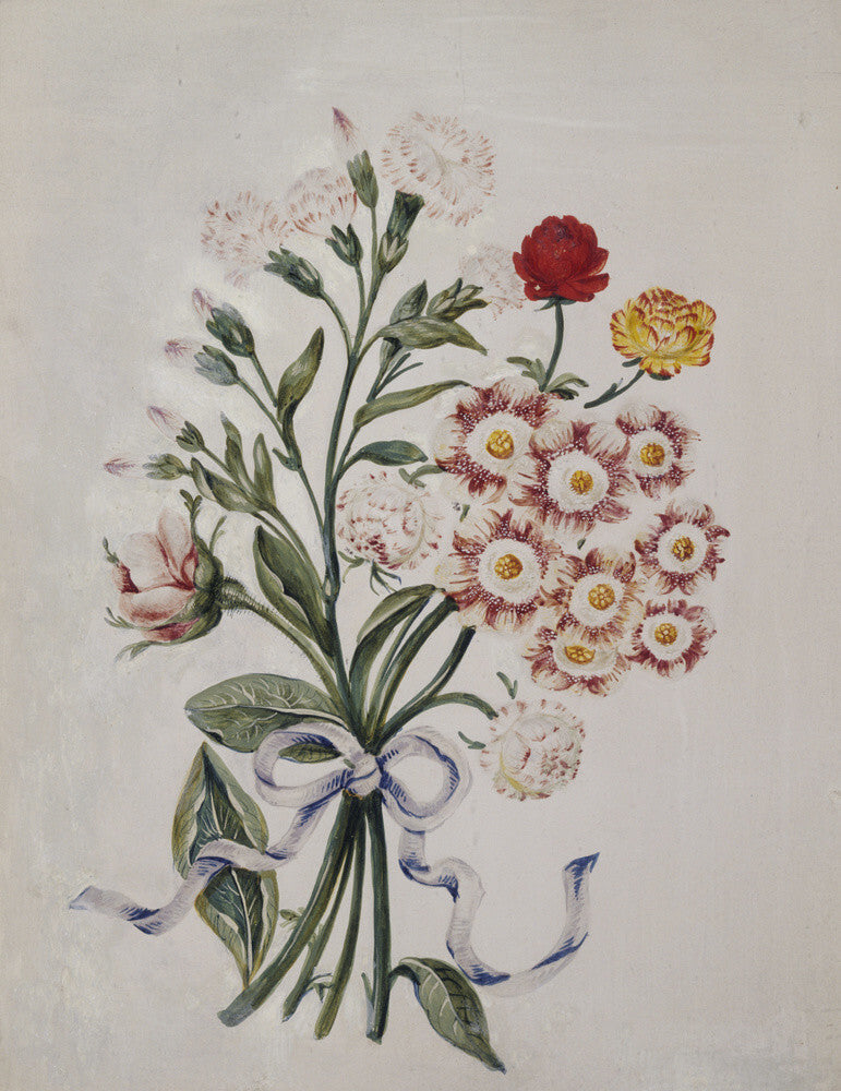 An embossed flower picture by Samuel Dixon – National Trust Prints