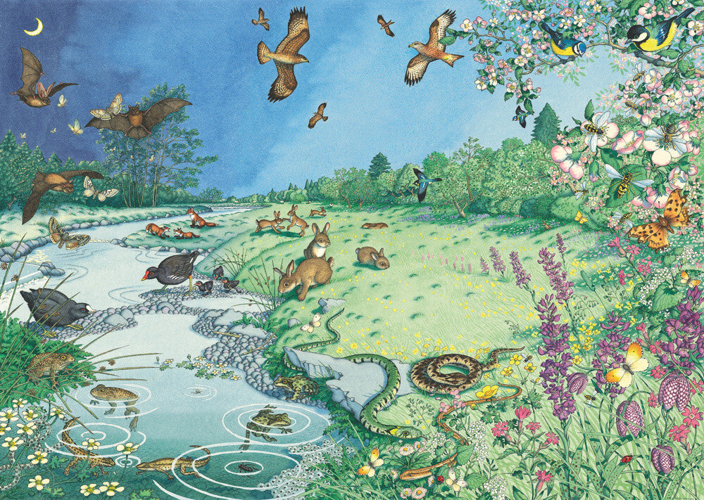 Spring Meadow, watercolour illustration by Benedict Blathwayt, depicti ...