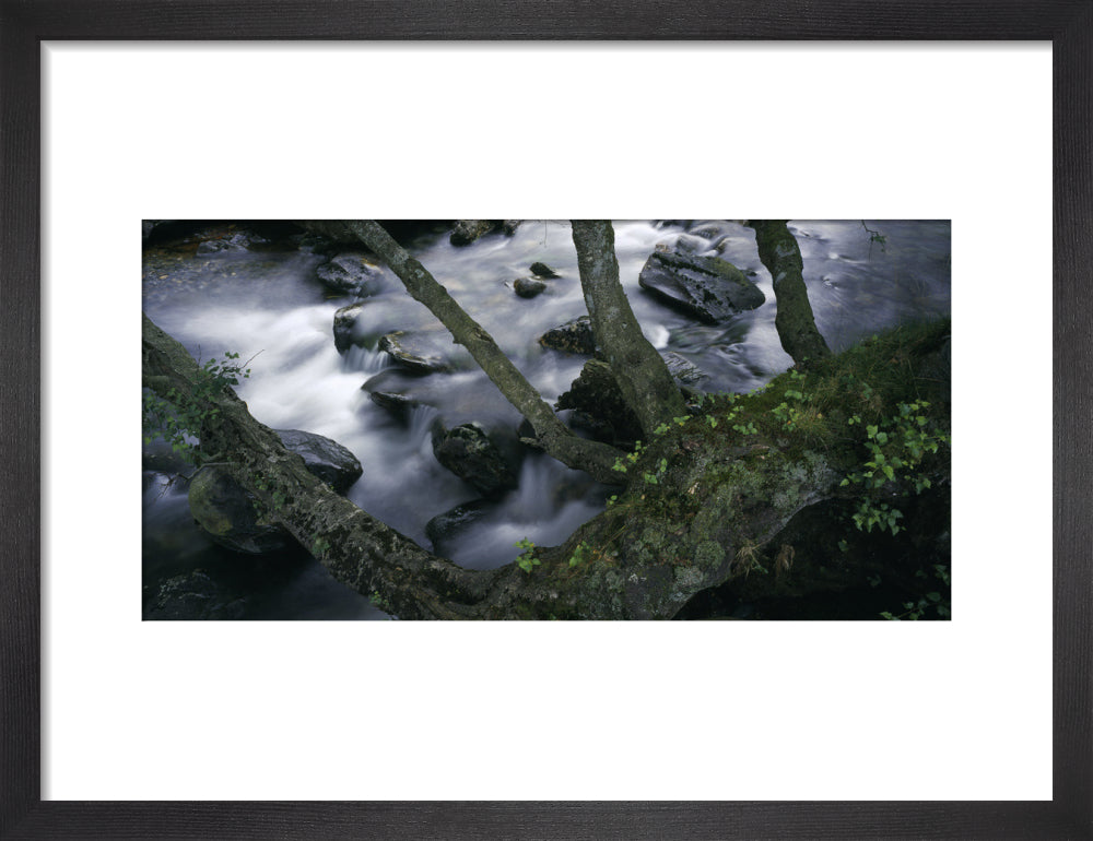 The Afon Cwm Llan, a typical mountain river in Wales on the Hafod Y Ll ...