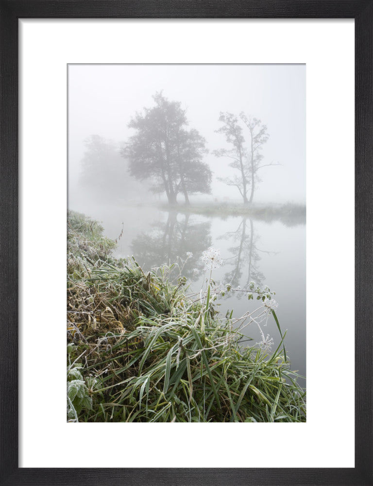 The River Wey Navigations near Triggs Lock at Send, Surrey on a misty ...