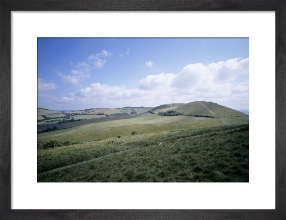 View looking east from Ridege Cliff (Golden Cap Estate), towards Frogm ...