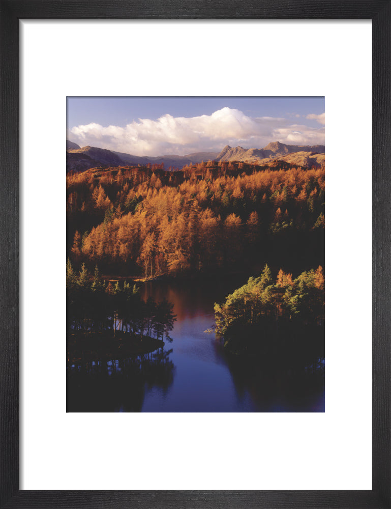 (FL) An autumnal view of Tarn Hows near Coniston Water in the Lake Dis ...