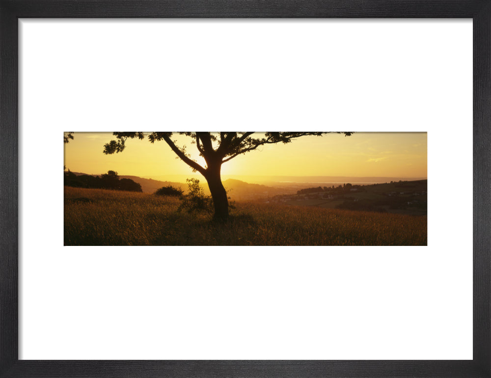 Rodborough Common, Gloucestershire – National Trust Prints