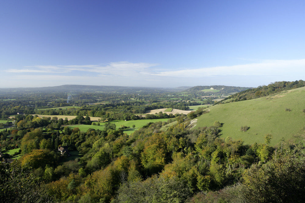 The view from Reigate Hill on the North Downs, Surrey – National Trust ...