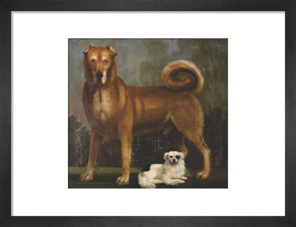 Two Dogs: a Lyme Mastiff and a Papillon – National Trust Prints