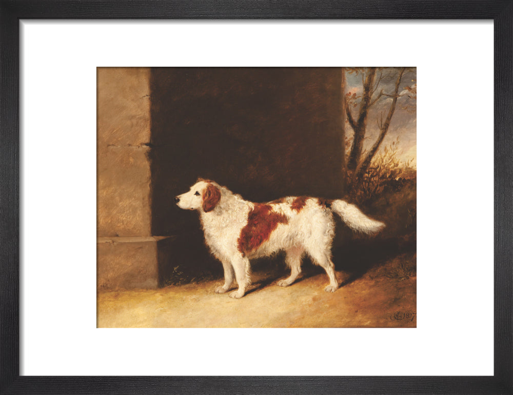 The Favourite Dog of Lord Charles Vere Ferrers Townshend – National ...