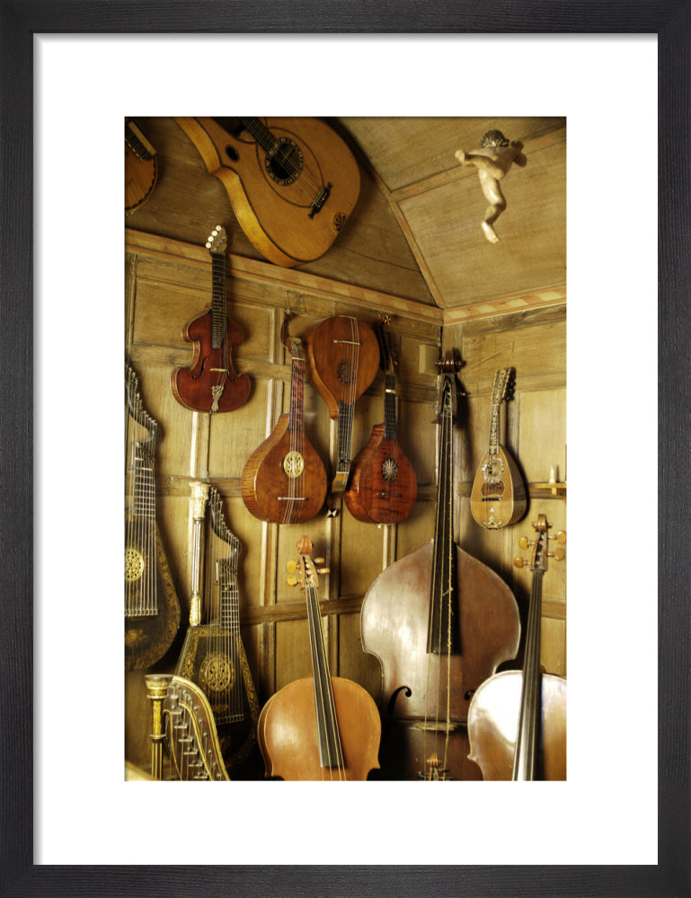 A mixed selection of stringed instruments, part of the musical instrum ...