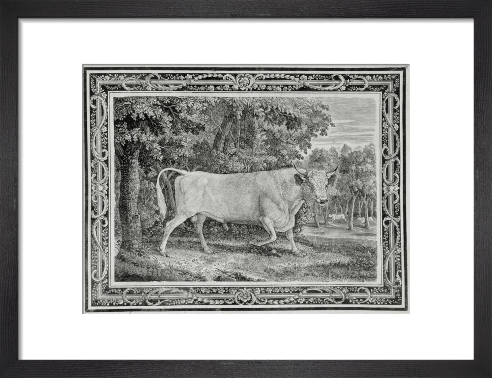 The Chillingham Bull, Engraving by Thomas Bewick, 1789 – National Trust ...