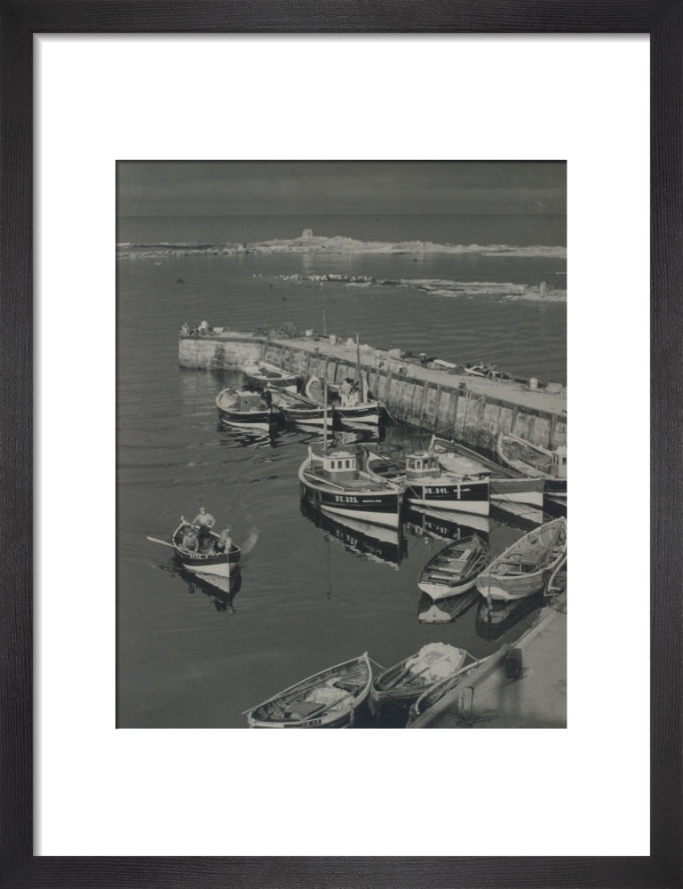 Seahouses Harbour – National Trust Prints